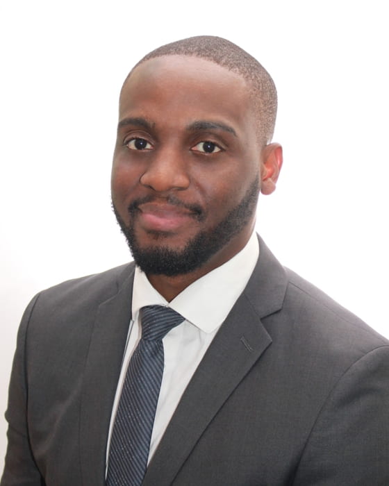 Our Team - Lewis & Associates LLP